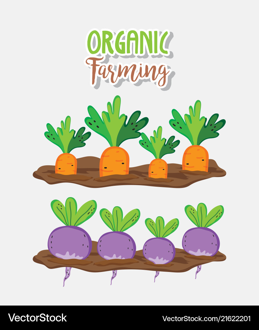 Organic farming cartoons Royalty Free Vector Image