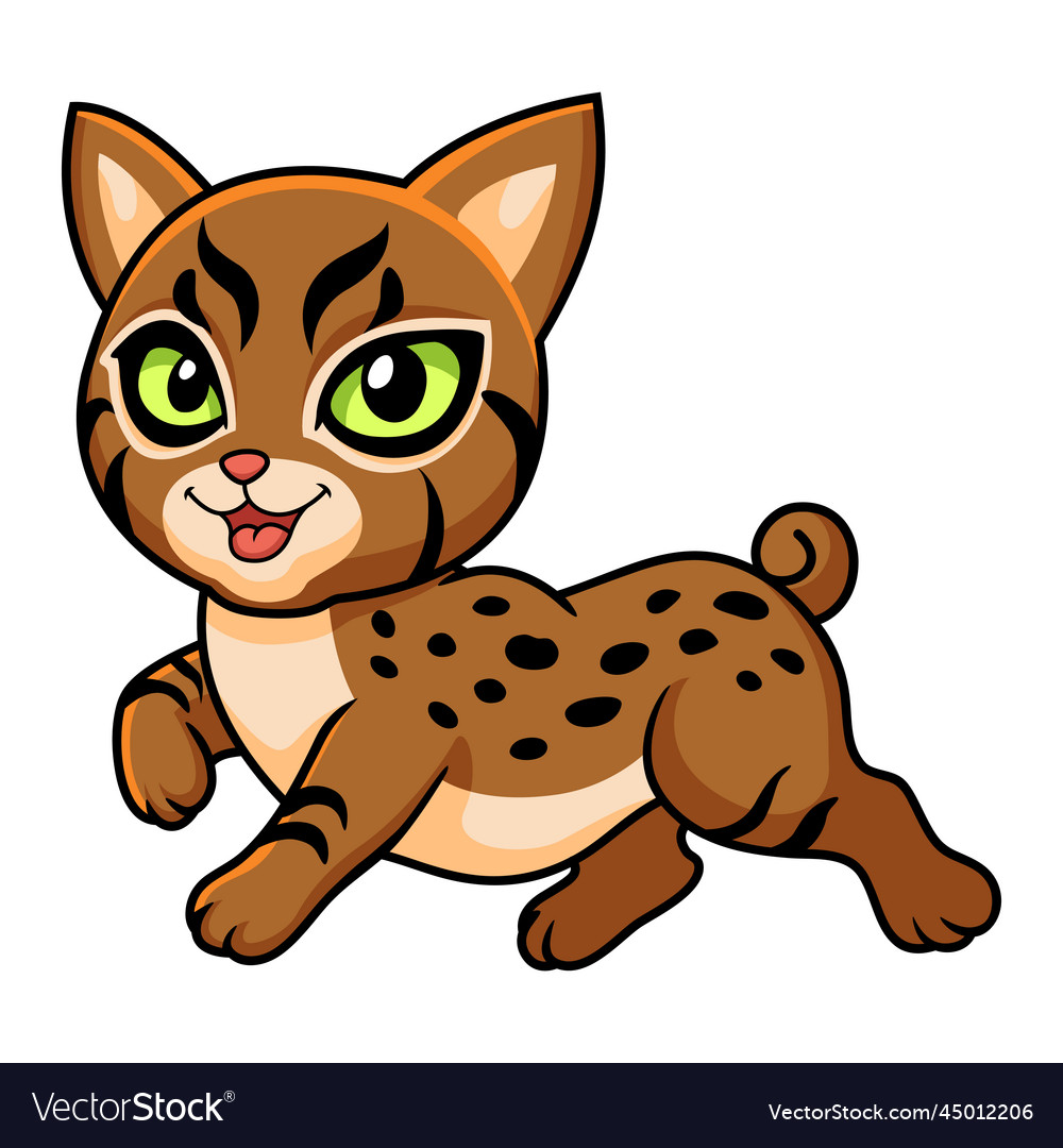 Cute pixie bob cat cartoon Royalty Free Vector Image