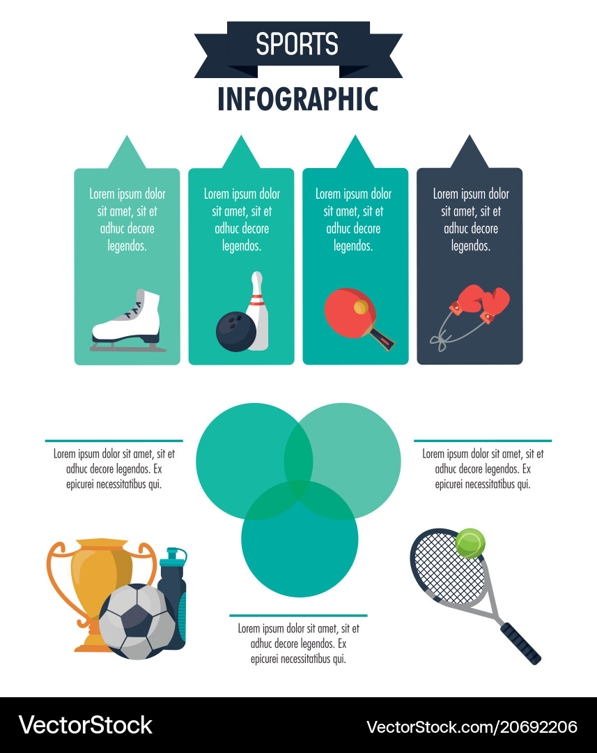Sports infographic design Royalty Free Vector Image
