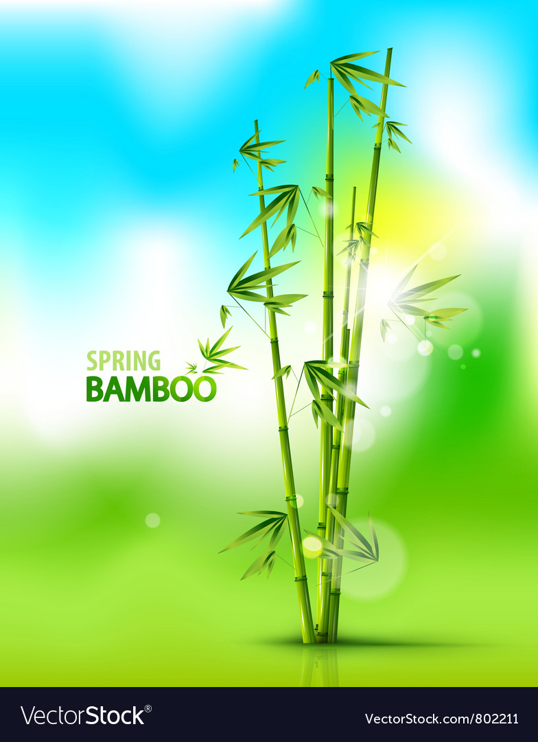 Bamboo background Royalty Free Vector Image - VectorStock