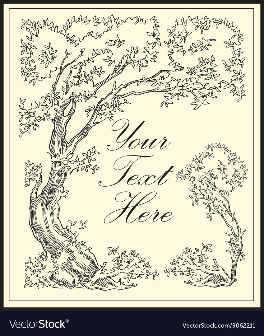 Tree oak beech forest tree Royalty Free Vector Image