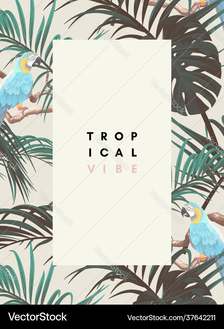 Vintage tropical design with exotic monstera Vector Image