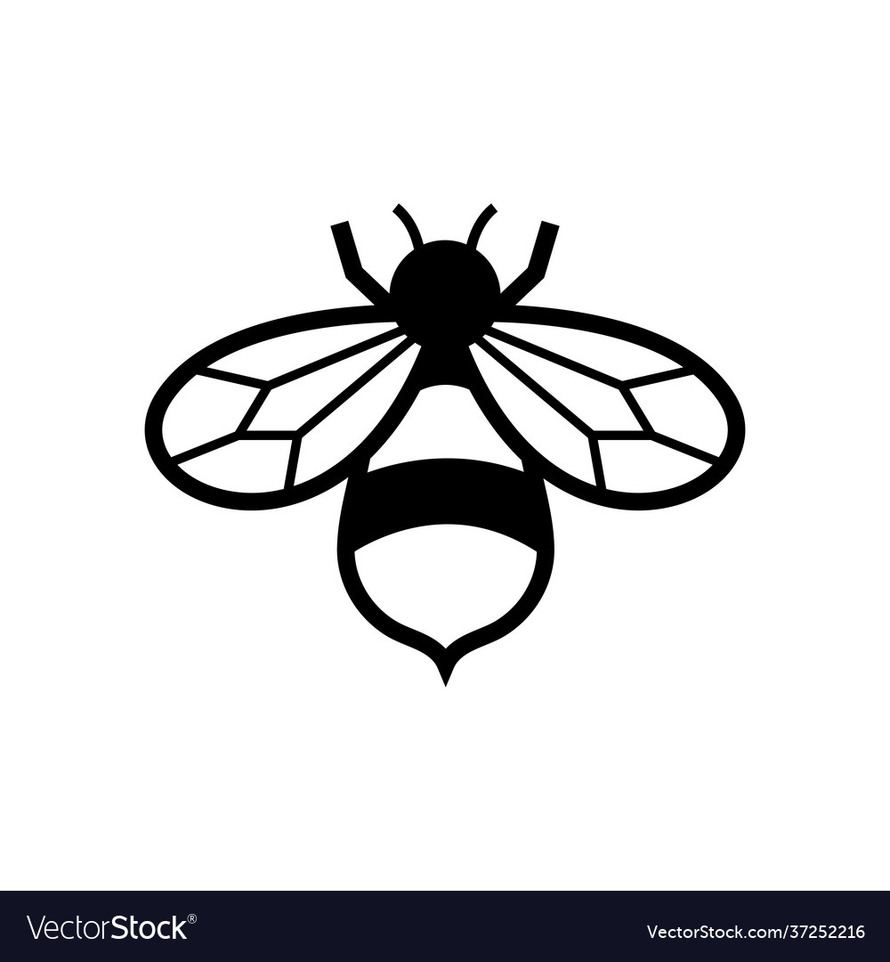 Bee icon design template Royalty Free Vector Image
