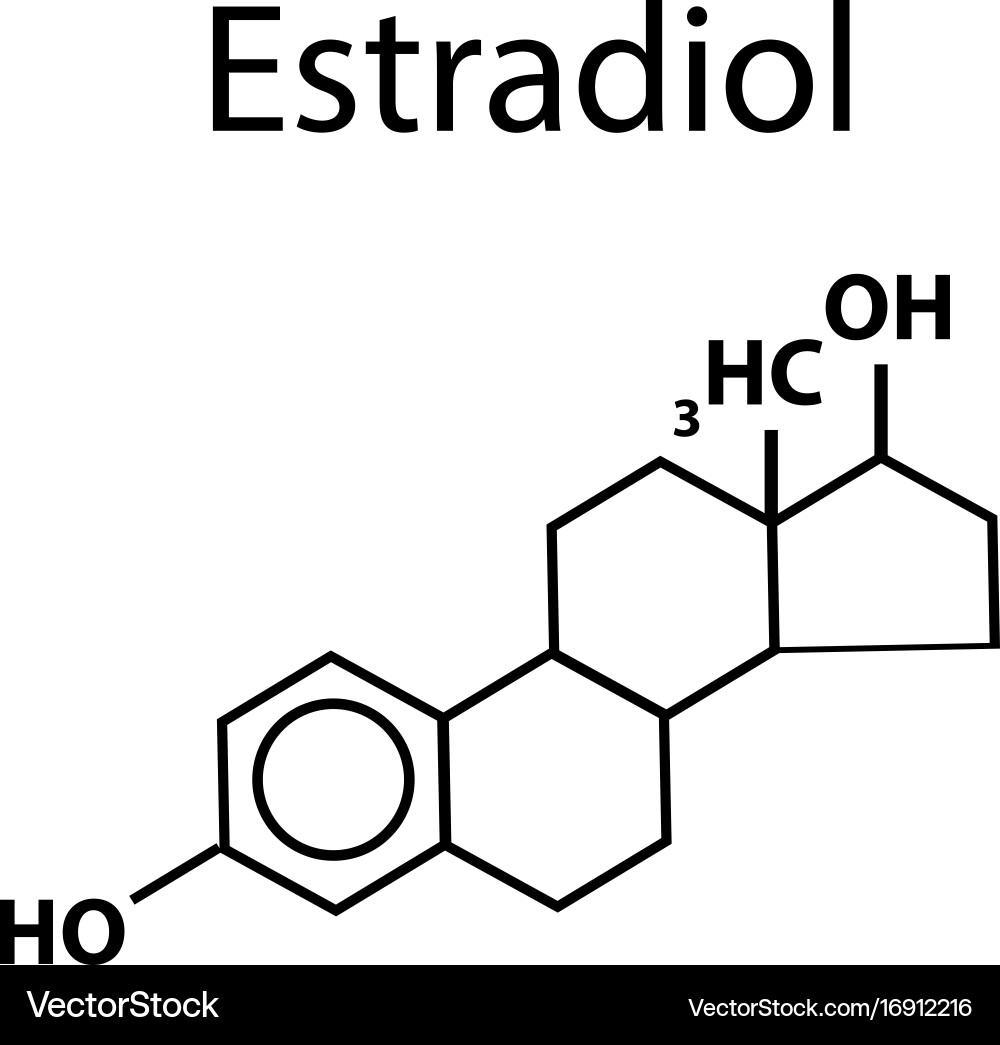 Chemical molecular formula the hormone estradiol Vector Image