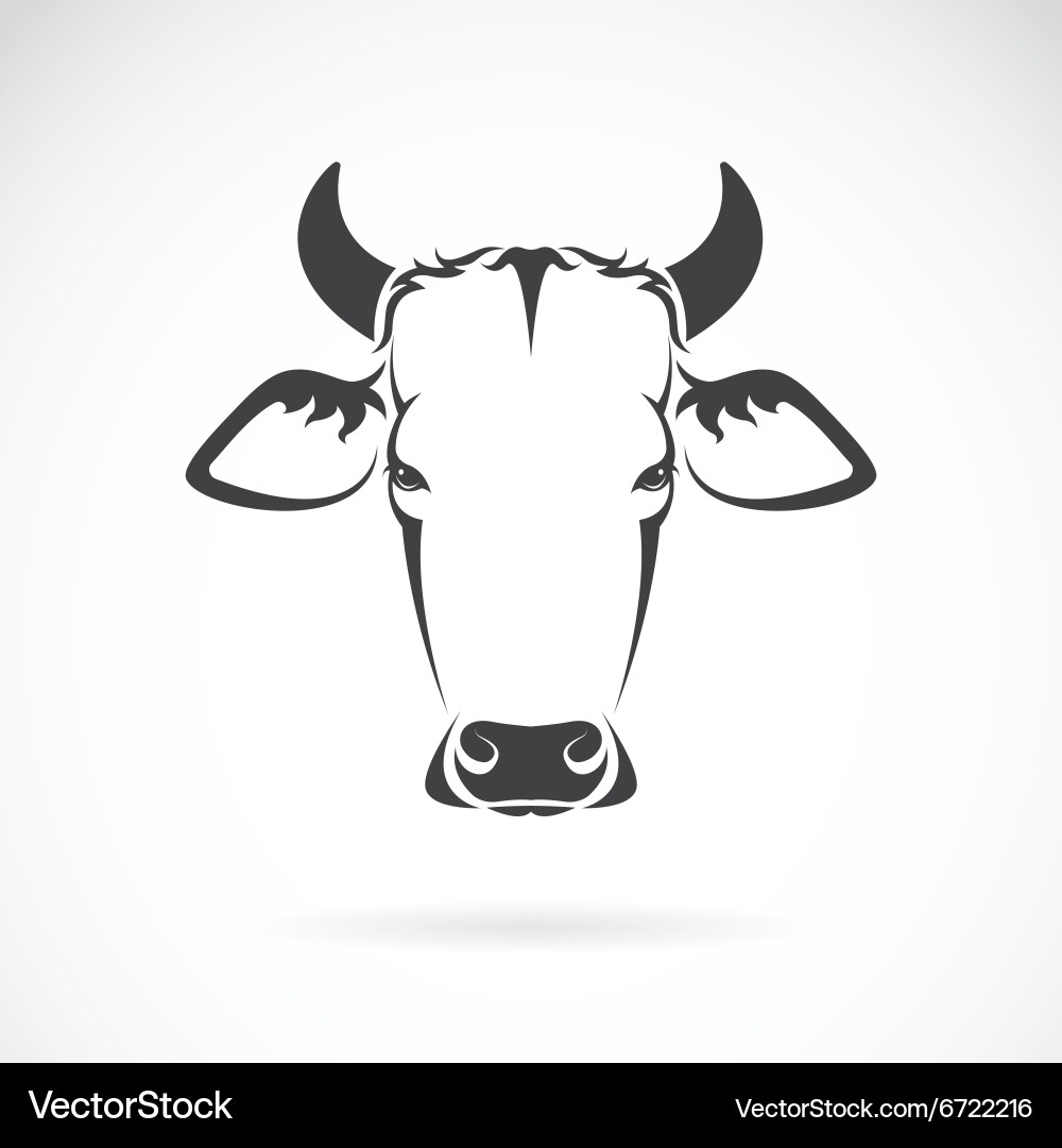 Image of an cow head Royalty Free Vector Image