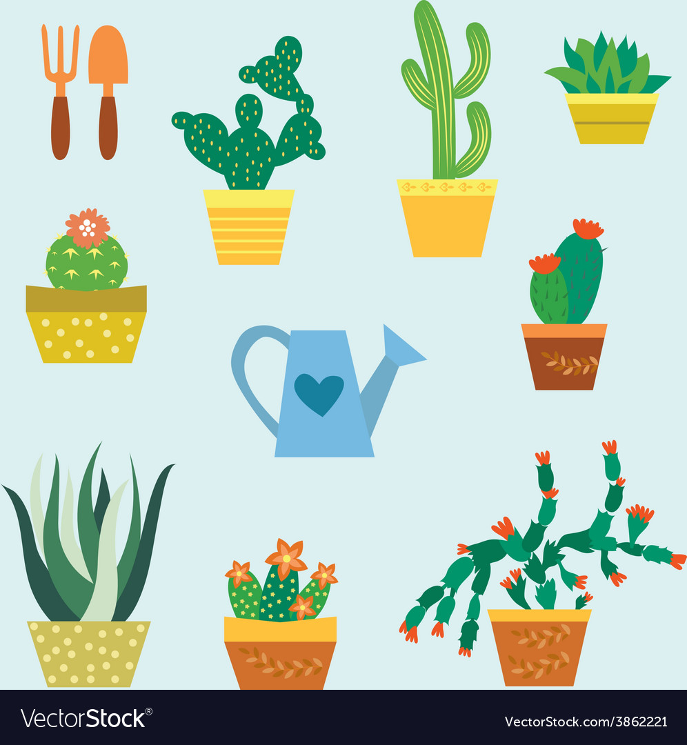 Cactus Royalty Free Vector Image - VectorStock