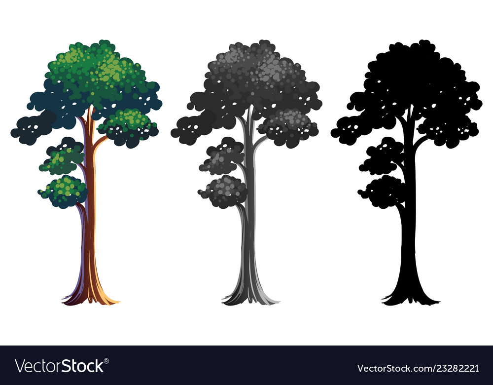 Set different tree design Royalty Free Vector Image