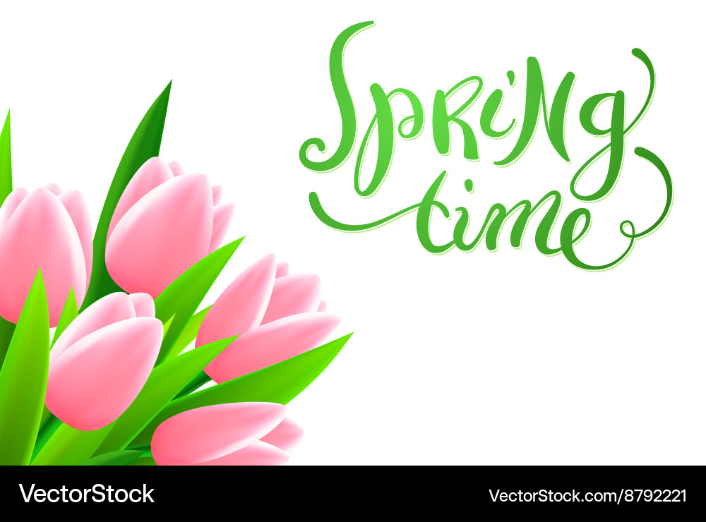 Spring time with flowers Royalty Free Vector Image