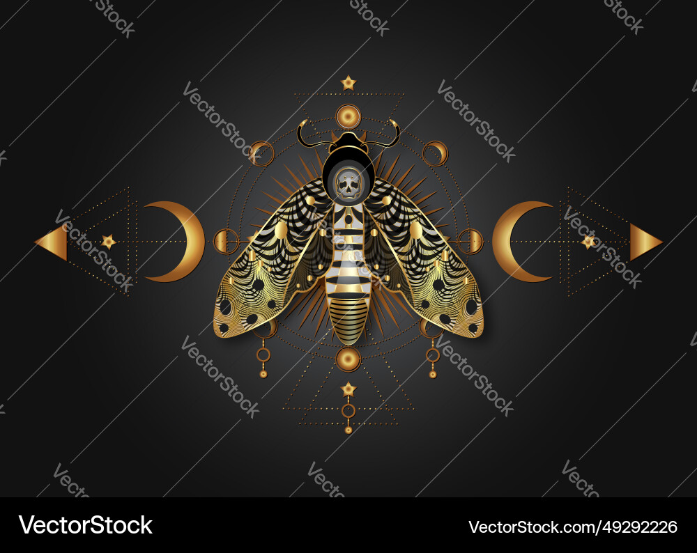 Deaths head moth on gold sacred geometry Vector Image
