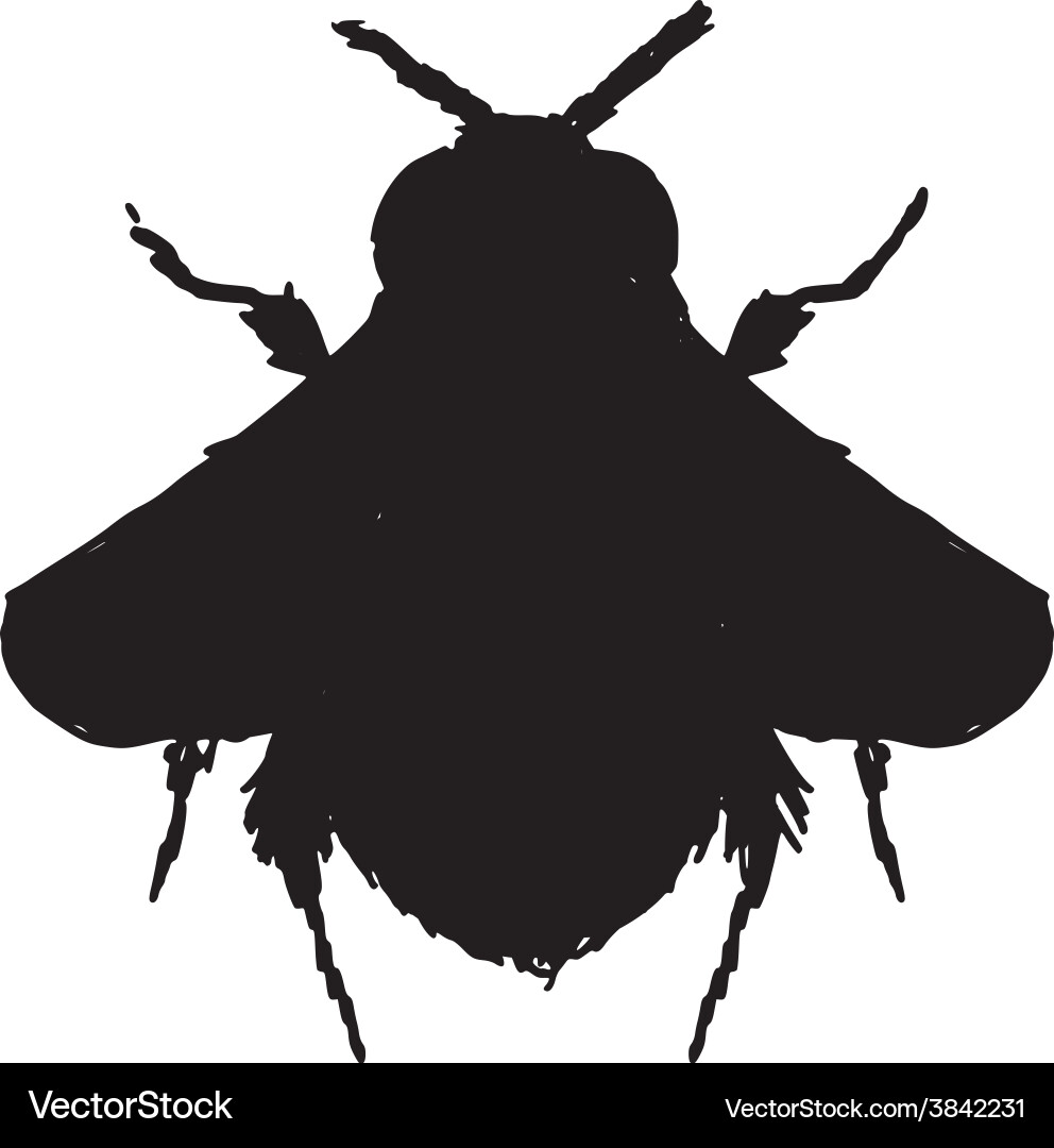 Bumblebee Royalty Free Vector Image - VectorStock