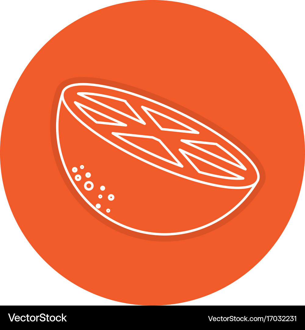 Half orange citrus fruit icon Royalty Free Vector Image