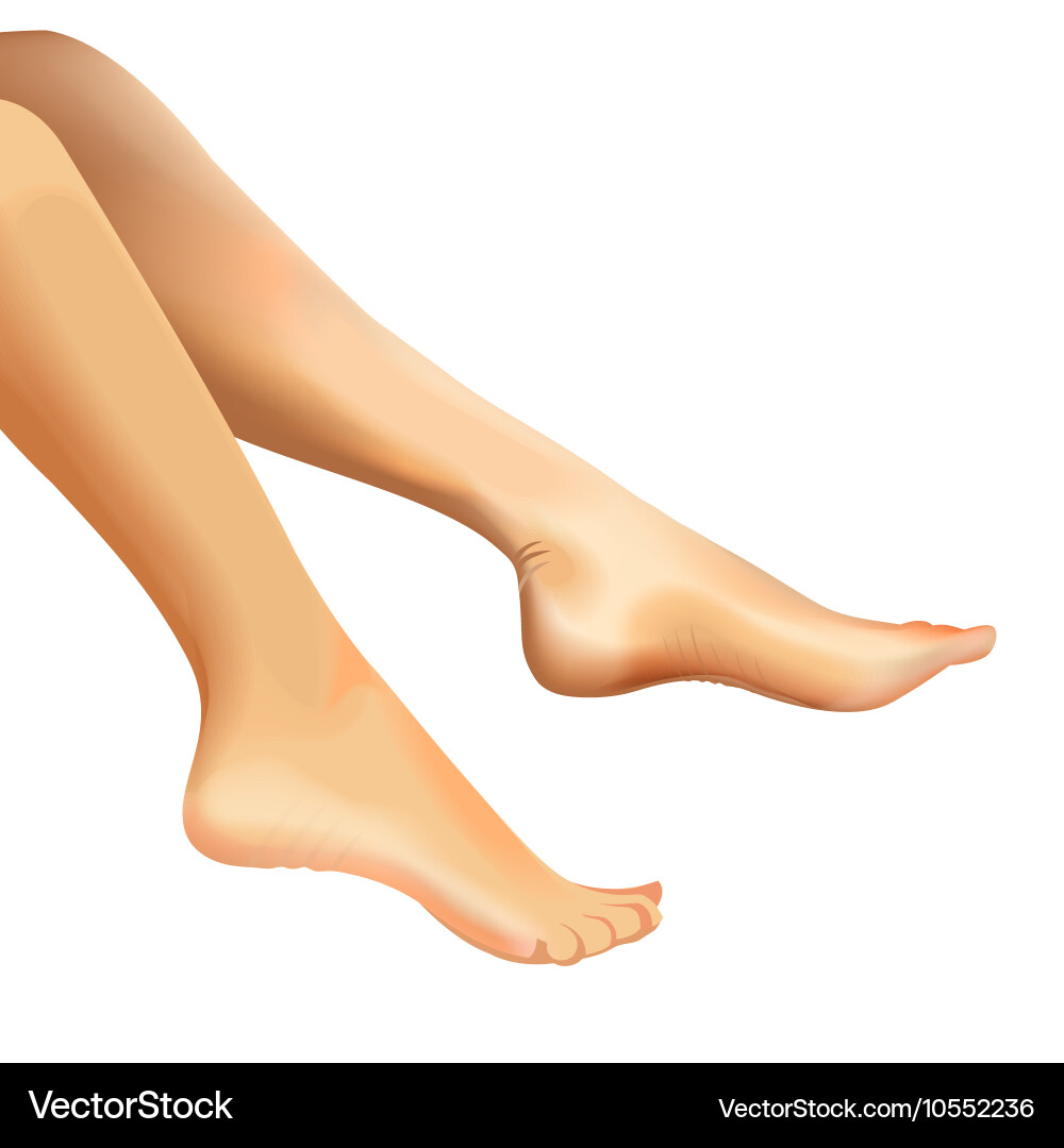 Female feet isolated on Royalty Free Vector Image