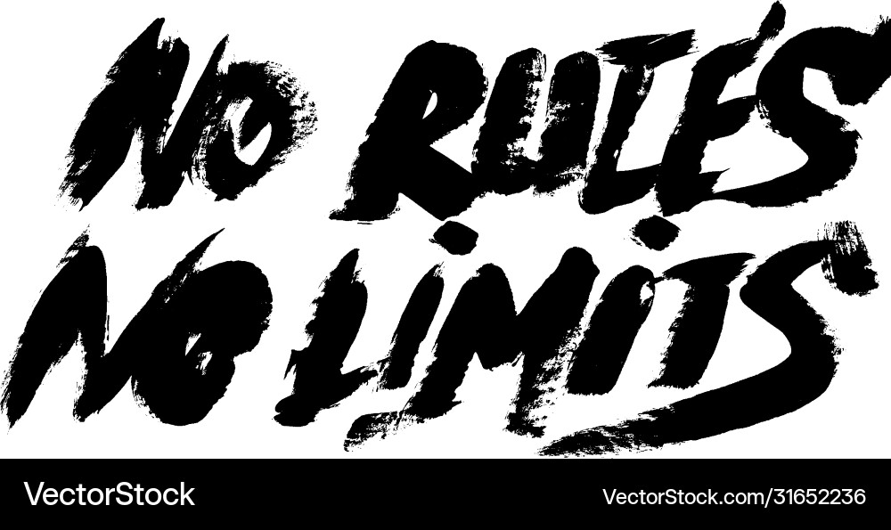 No rules no limits t-shirt and apparel design Vector Image