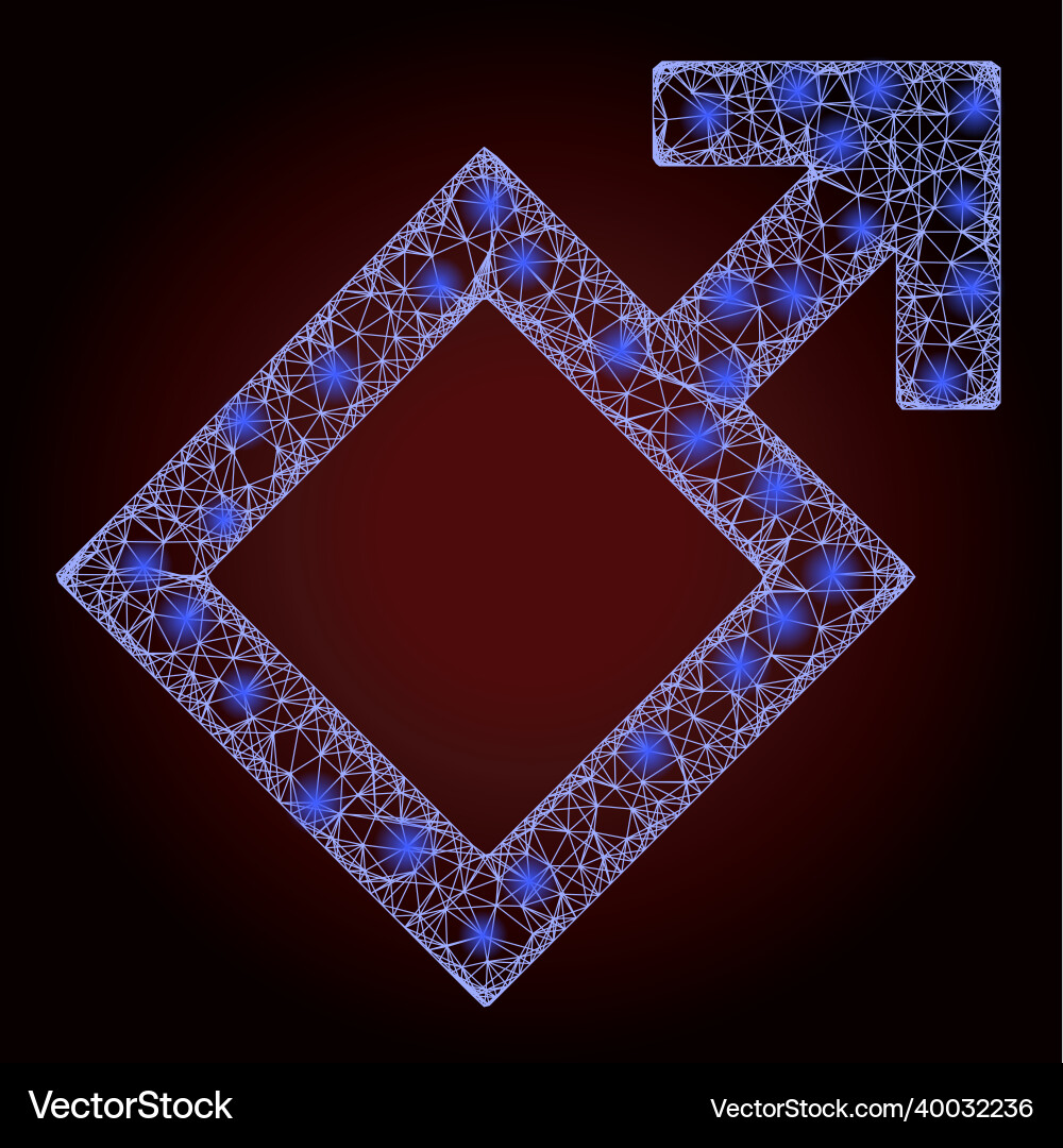 Shiny hatched mesh male symbol with light spots Vector Image