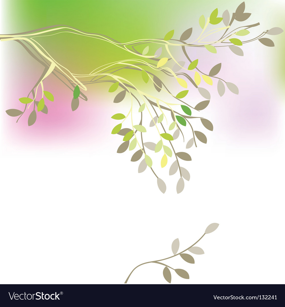 Spring branch Royalty Free Vector Image - VectorStock