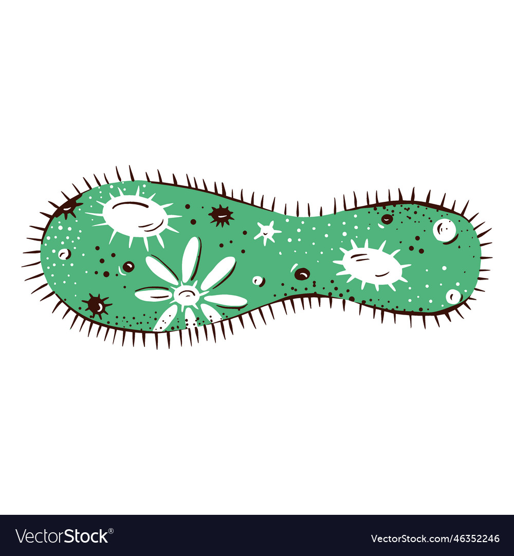 Bacteria Royalty Free Vector Image - VectorStock
