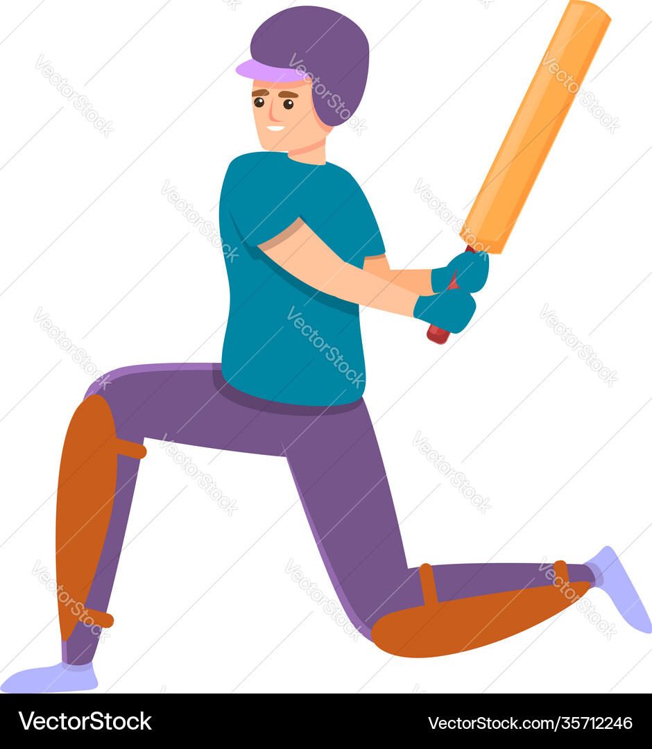 Cricket bat hit icon cartoon style Royalty Free Vector Image
