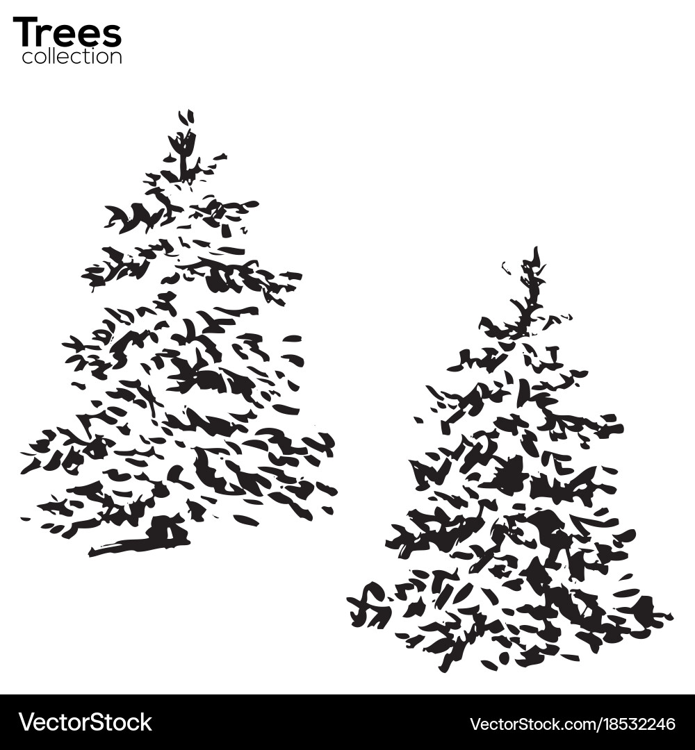 Trees collection ink fir silhouettes Royalty Free Vector
