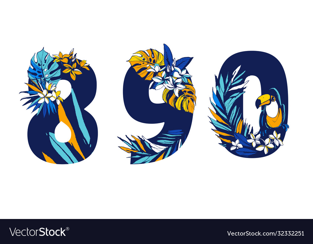 Decorative set tropical pattern numbers figures Vector Image