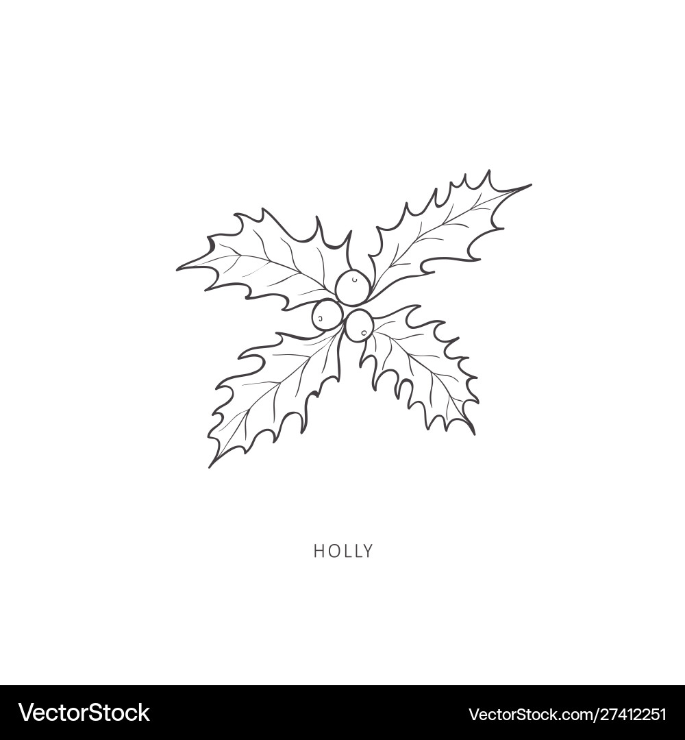 Hand drawn branch plant line art Royalty Free Vector Image