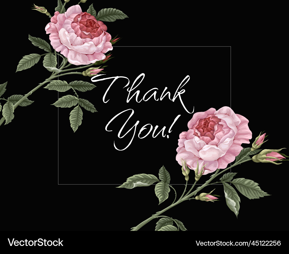 Invitation card with pink roses Royalty Free Vector Image