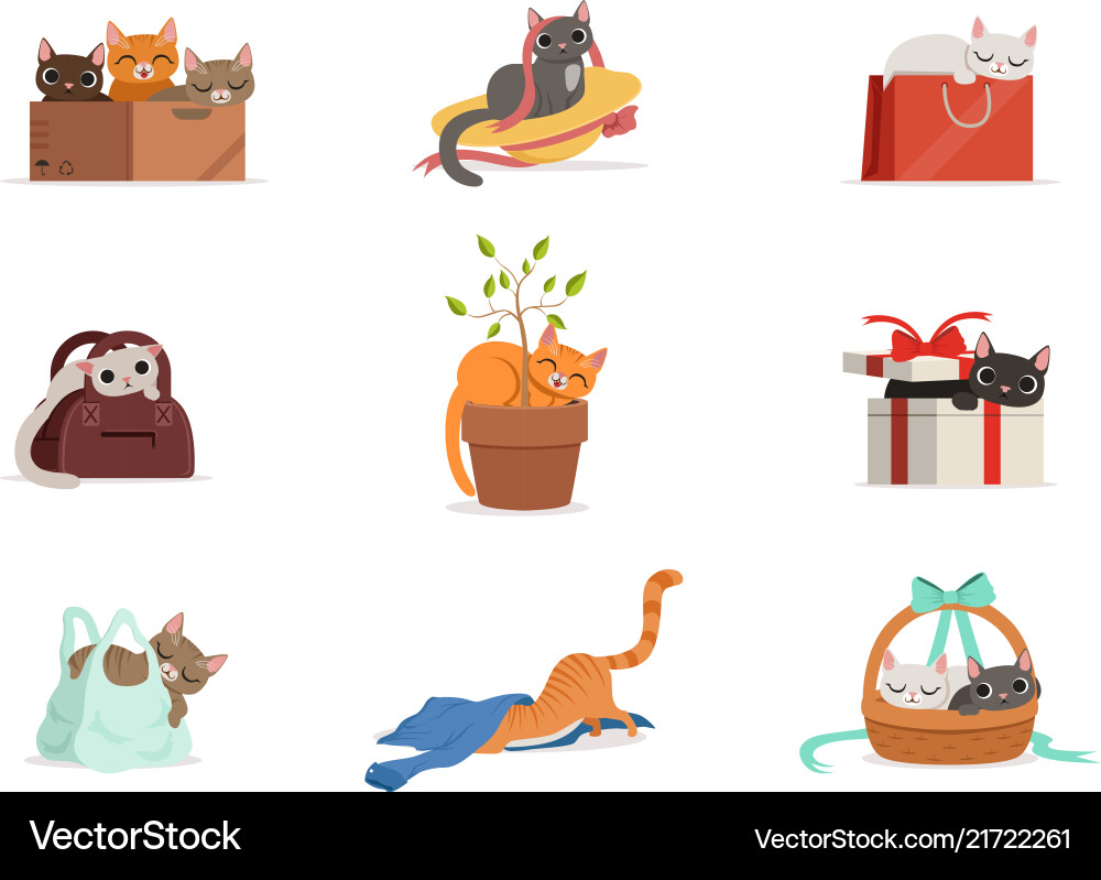 Cute different cats having rest in their favorite Vector Image