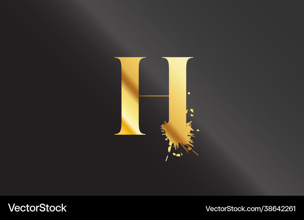 Splash h alphabet icon letter for corporate Vector Image