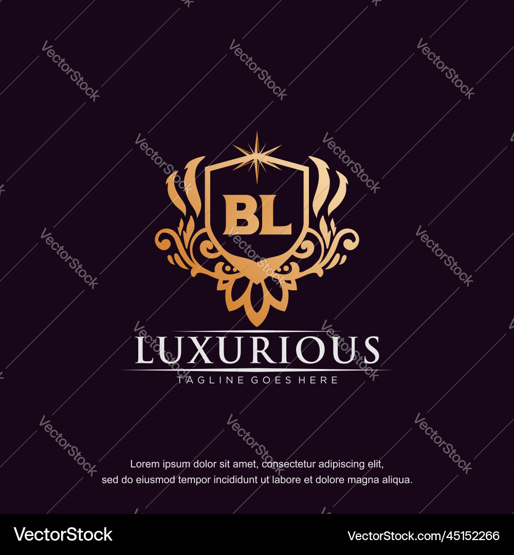 Bl initial letter luxury ornament gold monogram Vector Image