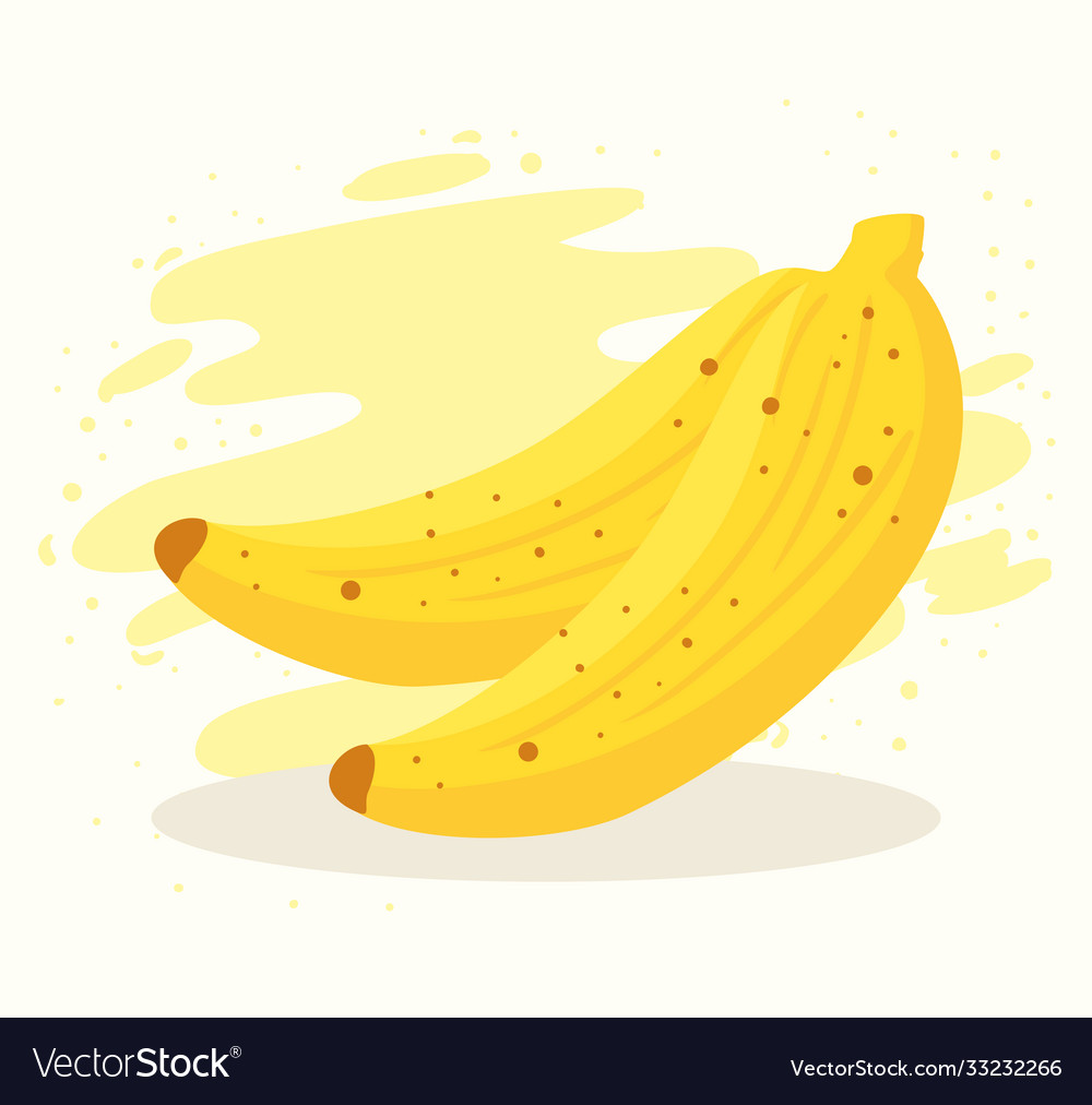 Fresh bananas fruit healthy food concept Vector Image