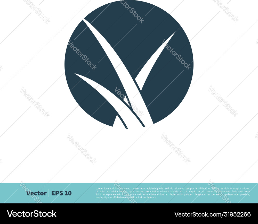 Grass plant icon logo template design eps 10 Vector Image