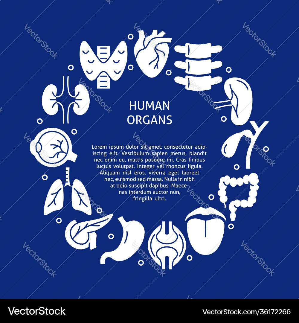 Human organs banner with round frame in flat style