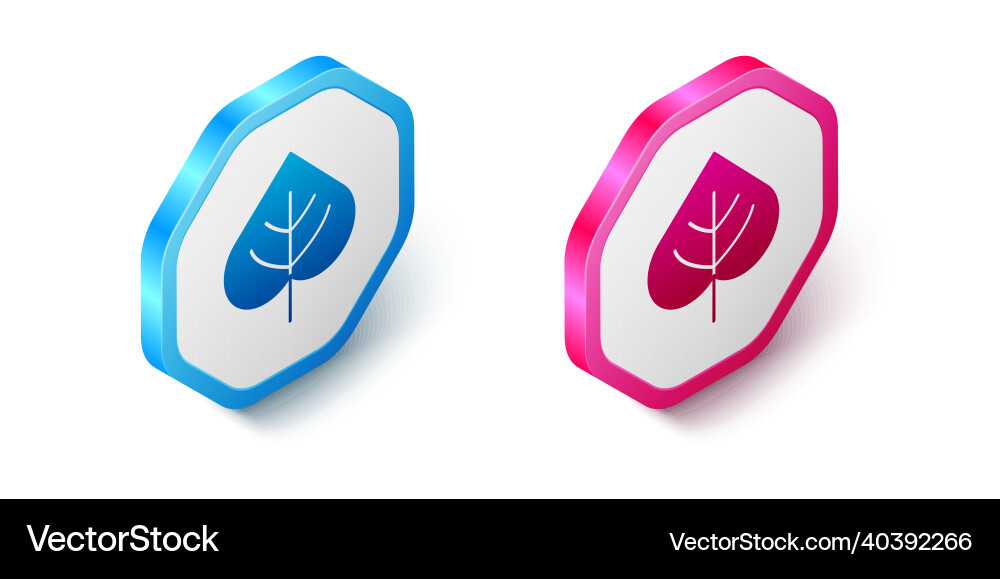 Isometric leaf icon isolated on white background Vector Image