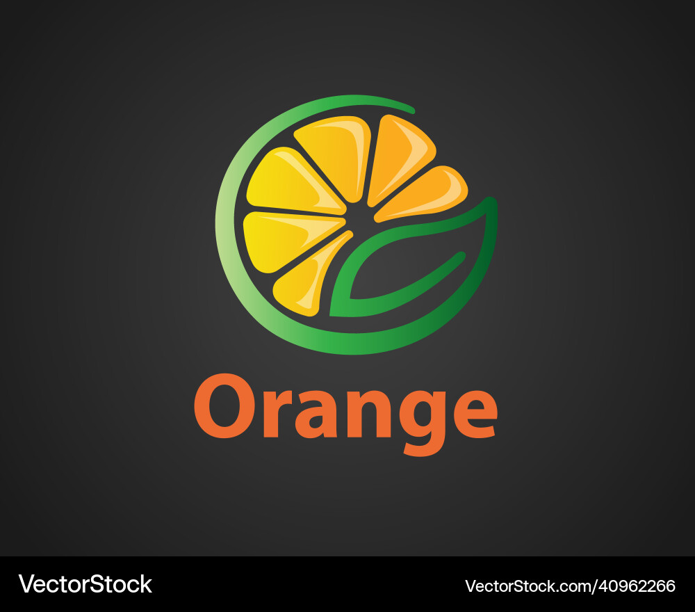 Natural half fruit orange logo design inspiration Vector Image