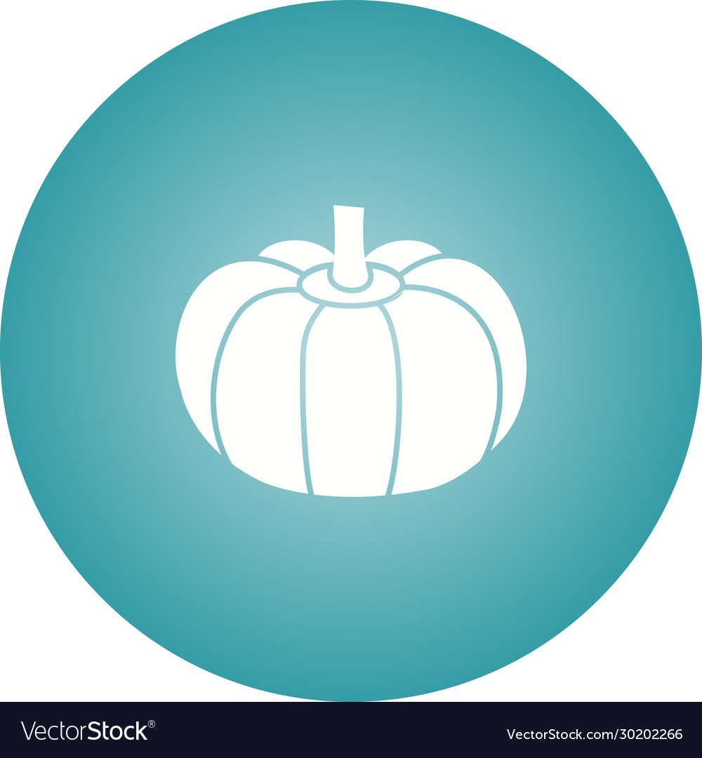 Unique pumpkin glyph icon Royalty Free Vector Image