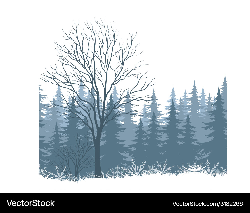 Winter landscape with trees and snow Royalty Free Vector