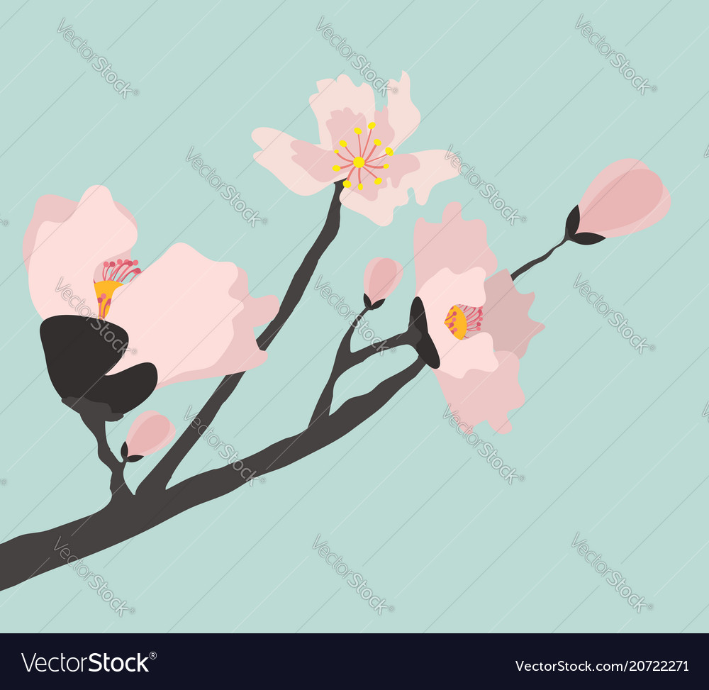 Blooming cherry tree Royalty Free Vector Image