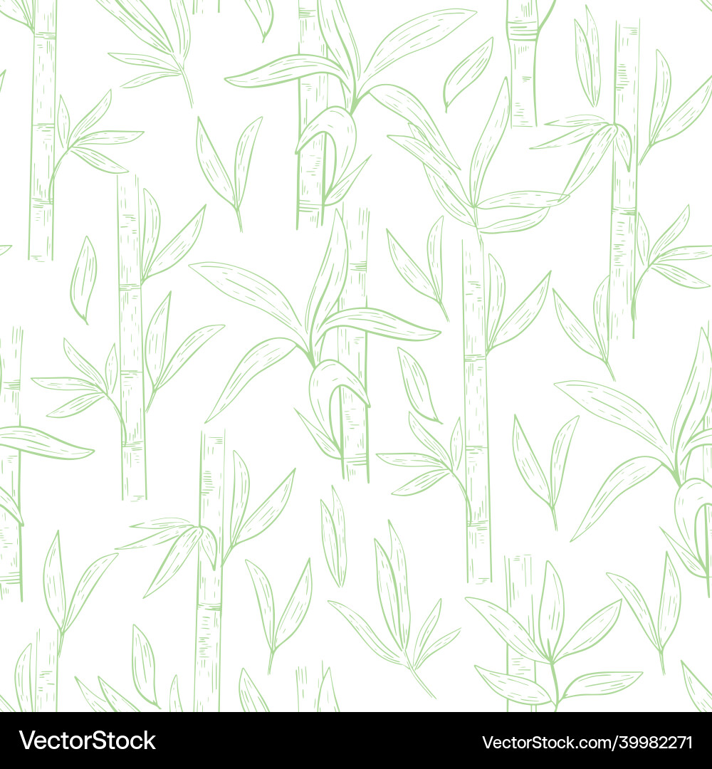 Green bamboo seamless pattern on a white Vector Image