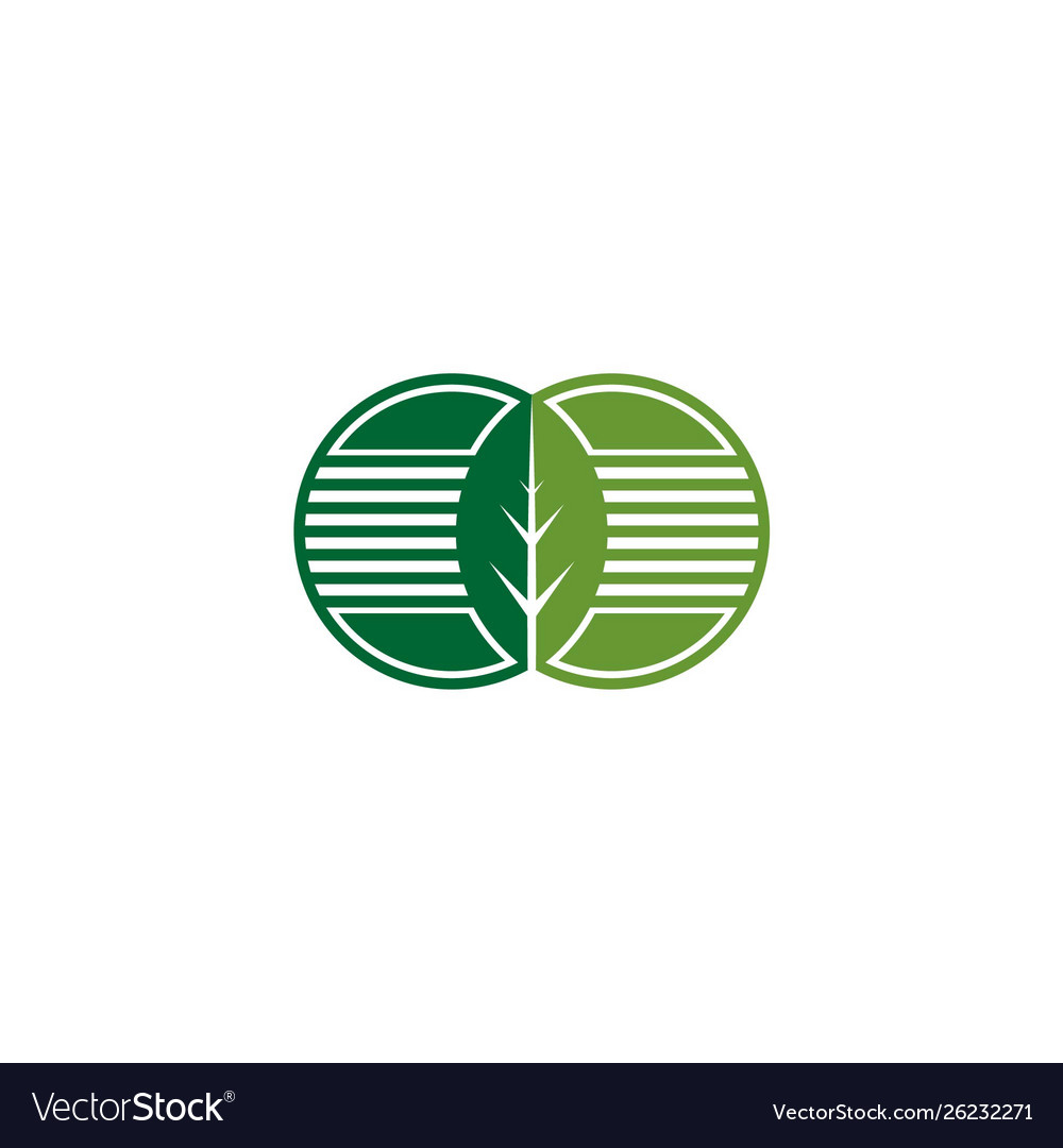 Leaf logo template Royalty Free Vector Image - VectorStock