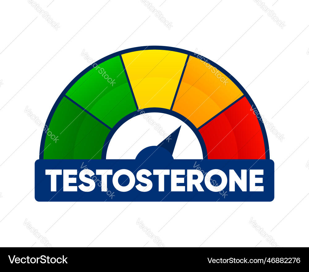 Meter of testosterone hormone level measuring Vector Image