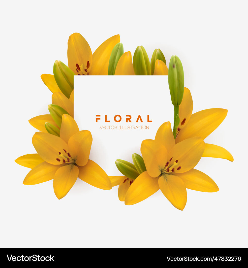 Yellow lily flower bouquet isolated Royalty Free Vector