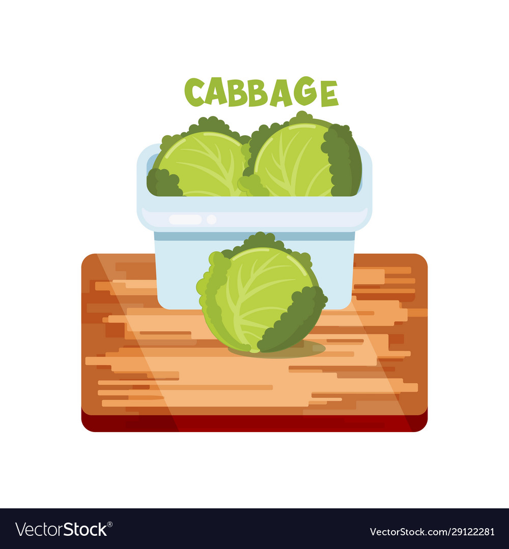 Cabbage flat design Royalty Free Vector Image - VectorStock
