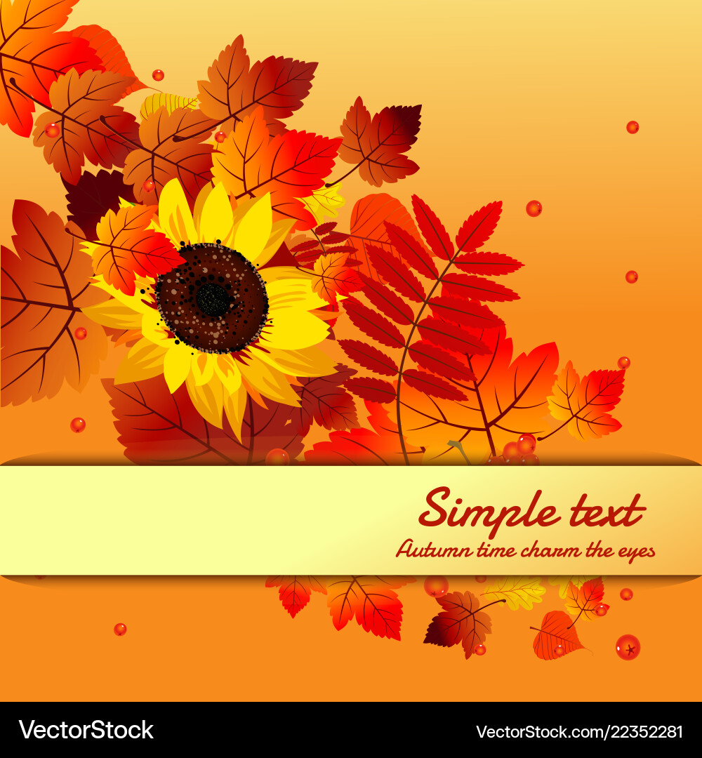 Cute poster greeting card with text and modern Vector Image