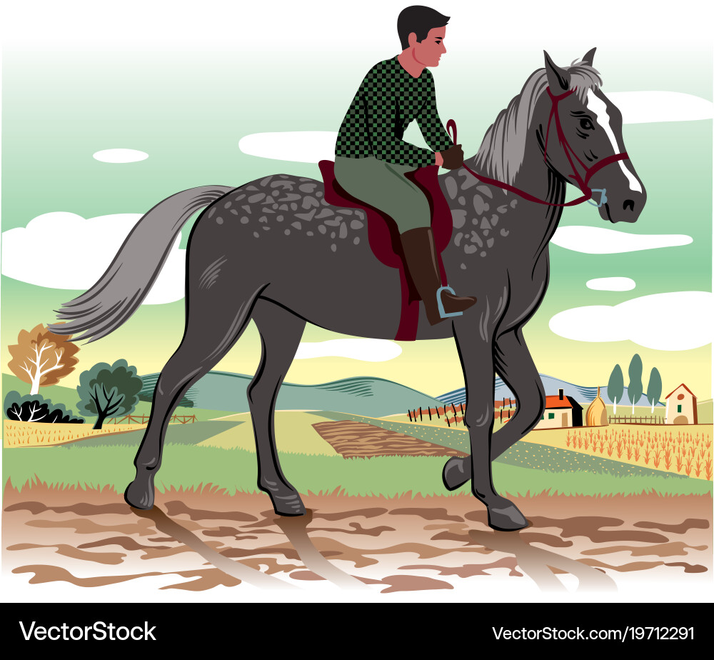 Horse and rider Royalty Free Vector Image - VectorStock
