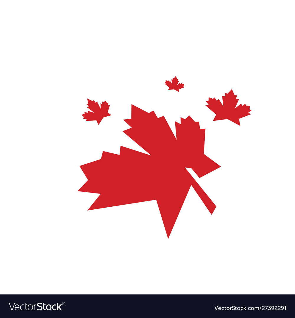 Maple leaf Royalty Free Vector Image - VectorStock