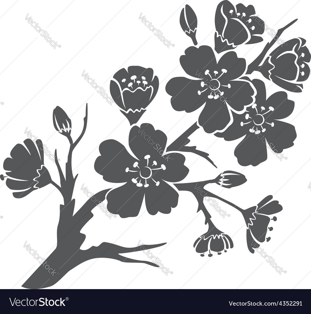Sakura Royalty Free Vector Image - VectorStock