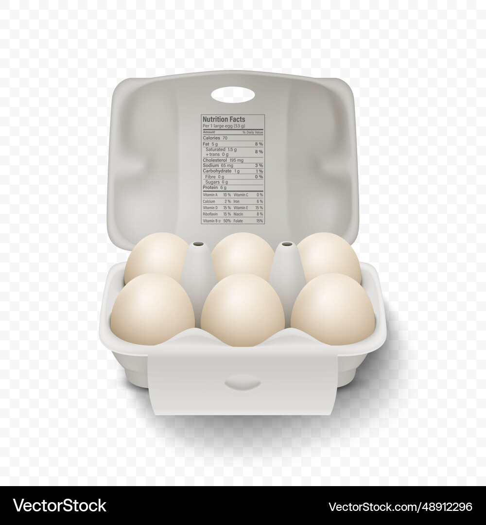 6 six 3d realistic white chicken eggs in Vector Image