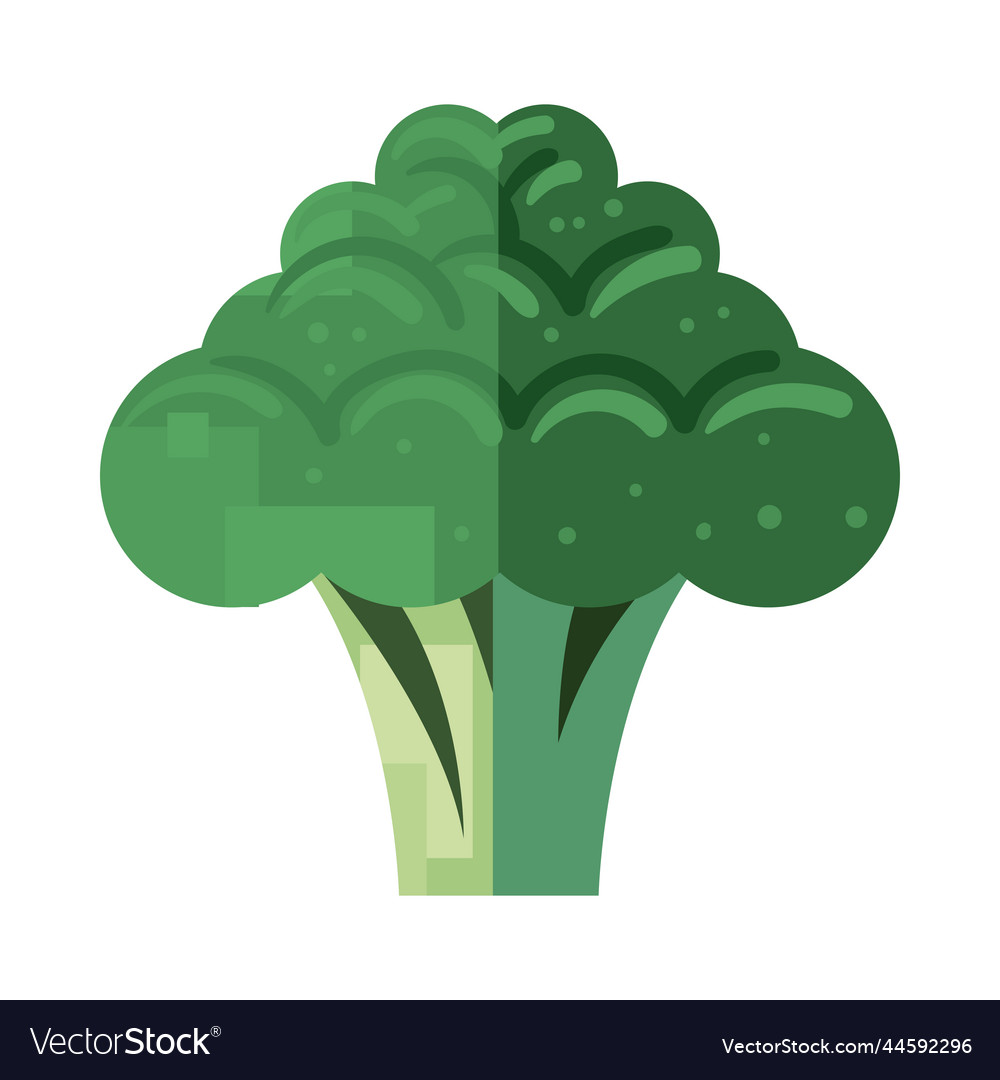 Flat broccoli design Royalty Free Vector Image