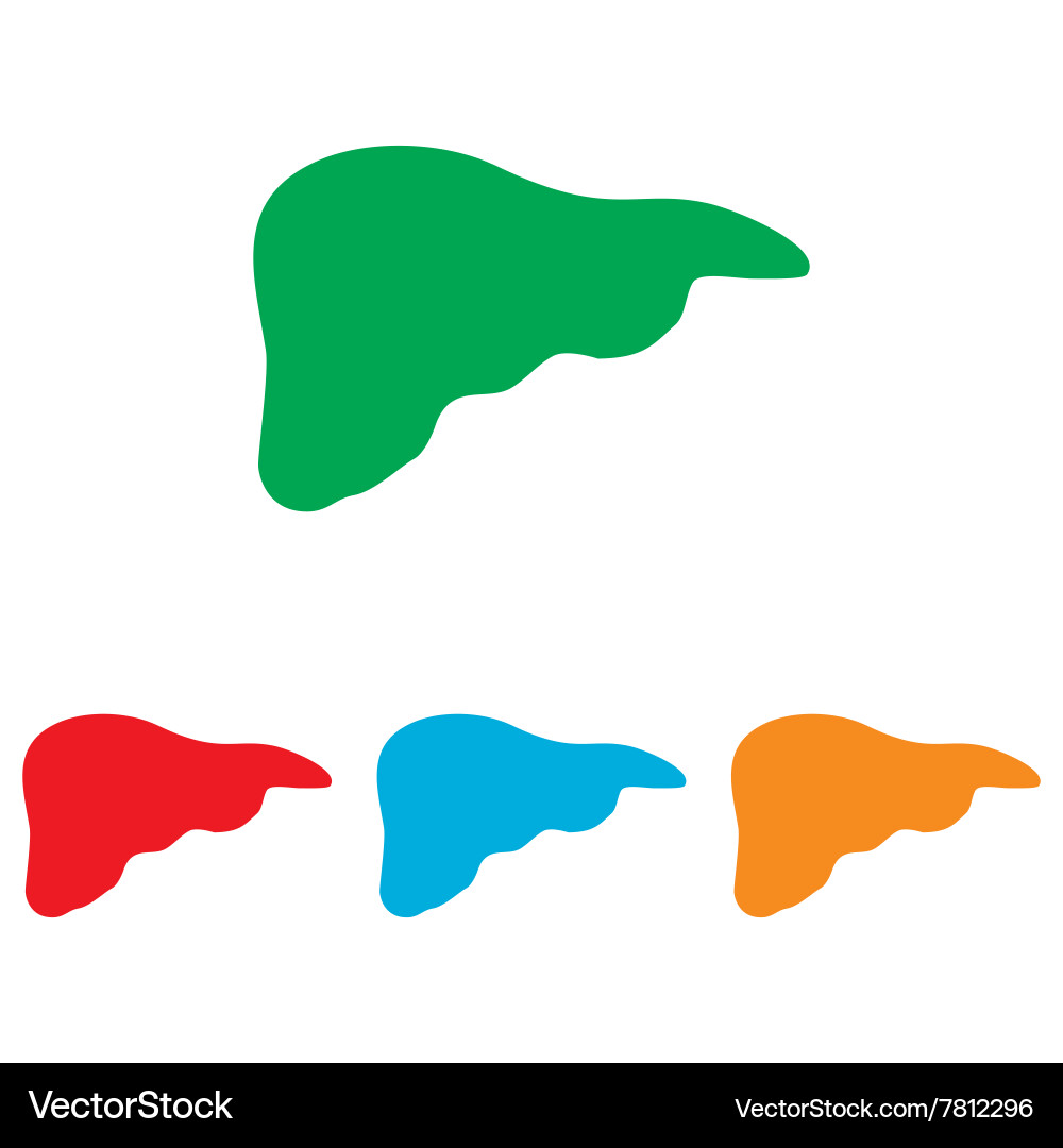 Human anatomy liver sign Royalty Free Vector Image