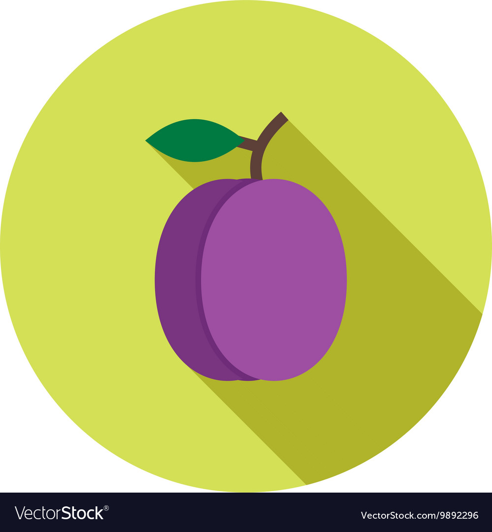 Plum Royalty Free Vector Image - VectorStock