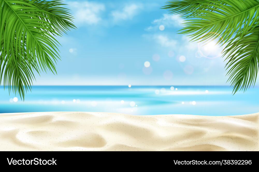 Sea beach with palm tree leaves background summer Vector Image